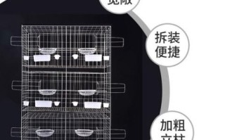 鸽子笼子图片大全_如何挑选合适尺寸