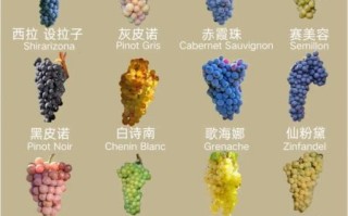 酿葡萄酒用什么葡萄最好_家庭自酿选哪种品种