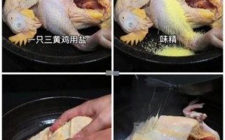 三黄鸡怎么做好吃_三黄鸡家常做法步骤