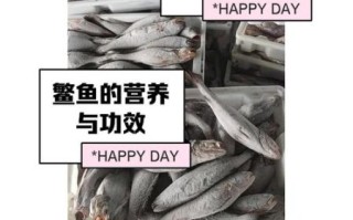 鳘怎么读_鳘鱼是什么鱼