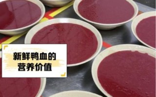 鲜鸭血怎么做好吃_鲜鸭血怎么处理不腥