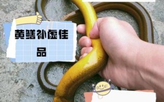 黄鳝养殖利润怎么样_黄鳝养殖利润高吗
