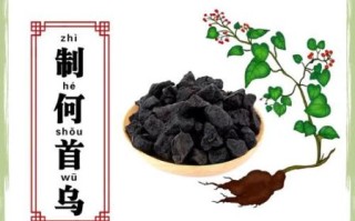 制首乌和何首乌的区别_哪个更好