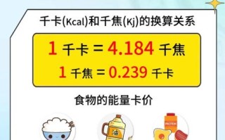 食物卡路里计算app哪个好_如何精准记录每日热量