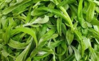 清明吃什么菜_传统时令蔬菜推荐