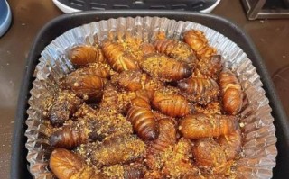 干煸蚕蛹怎么做_干煸蚕蛹怎么做好吃又脆
