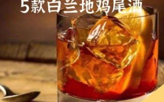 白兰地xo怎么喝才好喝_白兰地xo最佳饮用方法