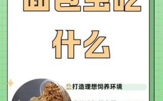 面包虫怎么养_面包虫怎么繁殖
