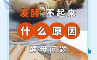 面包怎么做才松软_面包发酵失败怎么办
