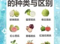 芭乐太难吃了怎么办_芭乐为什么难吃