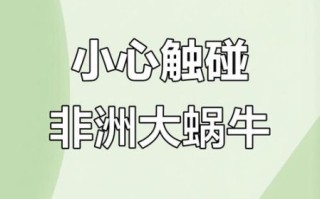 非洲大蜗牛有病毒吗_非洲大蜗牛携带哪些病毒