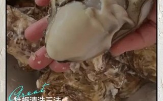 生蚝怎么清洗干净_生蚝清洗步骤