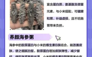 海参小米粥的做法_海参小米粥的功效与作用