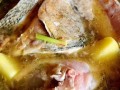 鲤鱼清炖怎么做好吃_清炖鲤鱼汤的家常做法