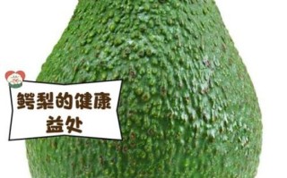 鳄梨怎么挑选_鳄梨图片大全