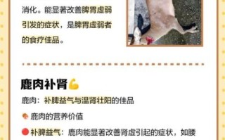 吃鹿肉有什么好处_鹿肉营养价值高吗