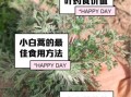 蓬蒿怎么读_蓬蒿的功效与作用