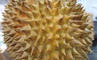 榴莲视频大全怎么下载_榴莲视频大全最新地址在哪