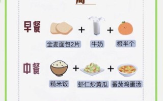 一星期减肥食谱一日三餐_如何安排最有效
