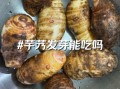 芋艿煮多久_芋艿怎么判断熟没熟