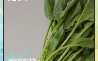 菠菜和香菇能一起吃吗_菠菜香菇相克吗