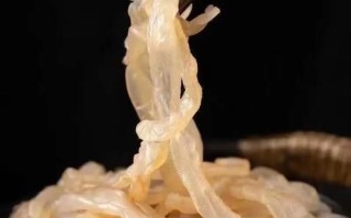 凉拌海蜇皮怎么做_海蜇皮要不要焯水