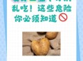 土豆发芽会产生什么毒素_吃了发芽土豆怎么办