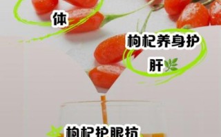 枸杞原浆的功效与作用_适合什么人喝
