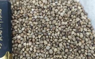 火麻仁多少钱一斤_火麻仁价格行情