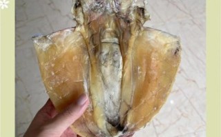 墨鱼干怎么做好吃_墨鱼干煲汤还是爆炒