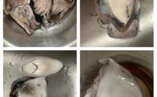 墨鱼仔怎么清洗_墨鱼仔清洗方法