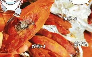 烤箱烤红薯怎么烤才好吃_烤红薯温度时间设置