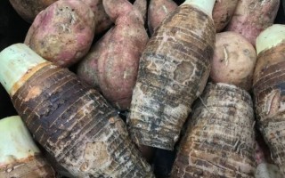 番薯芋头区别_哪个更减肥