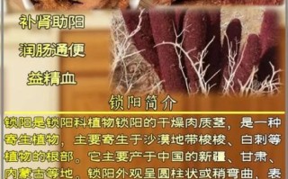 正宗锁阳多少钱一斤_锁阳价格影响因素