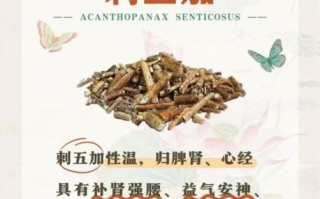 焦虑抑郁吃刺五加好了_刺五加副作用大吗