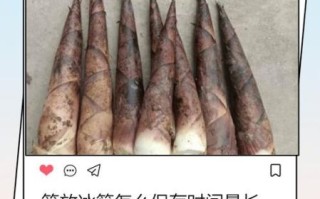 笋子怎么保存时间长_新鲜笋子能放冰箱吗