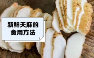 鲜天麻的正确吃法_鲜天麻的功效与作用