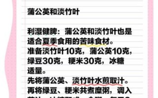 夏天吃什么药膳好_夏季养生药膳有哪些