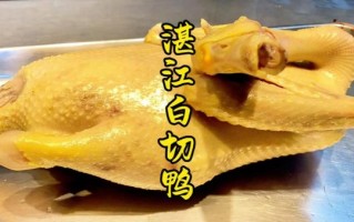 鸭子怎么做好吃_鸭子的100种做法