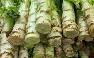 莴笋图片大全大图_莴笋怎么挑选最新鲜