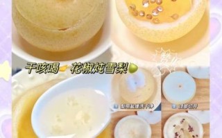 雪梨汁怎么做_雪梨汁的做法和功效 雪梨汁怎么做_雪梨汁的做法和功效