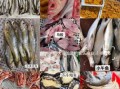 潮汕海鱼种类大全_潮汕常见海鱼名称及图片