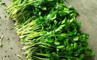 芹菜做饺子馅要焯水吗_不焯水会涩吗