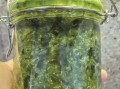韭菜花酱怎么做_韭菜花酱保存多久
