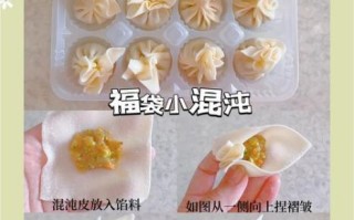 泡泡馄饨的包法慢动作_新手怎么捏出鼓泡不破