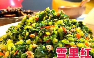 雪里红怎么做好吃_雪里红的经典家常做法