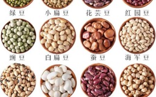 豆类有哪些_常见豆类品种大全