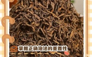 普洱茶怎么泡_普洱茶正确泡法步骤