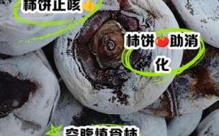 柿子饼的功效与作用_哪些人不能吃柿子饼
