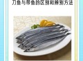 刀鱼是淡水鱼还是海鱼_刀鱼生活习性揭秘